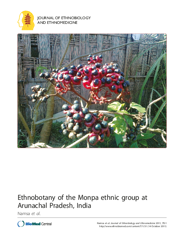(PDF) Ethnobotany of the Monpa ethnic group at Arunachal Pradesh, India