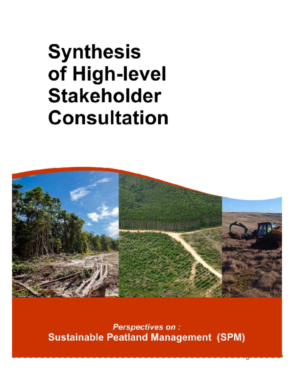 (PDF) Synthesis of Highlevel Consultation Sustainable Peatland Management in Indonesia (a ...
