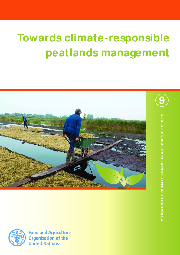 (PDF) Smallholder sago farming on largely undrained peatland