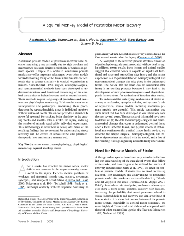 (PDF) A Squirrel Monkey Model of Poststroke Motor Recovery