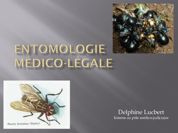 (PPT) Entomologie Médico-Légale