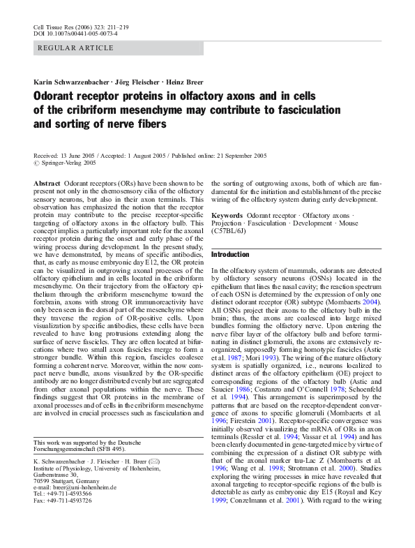 Pdf A Model For Axon Navigation Based On Glycocodes In The Primary Olfactory System James
