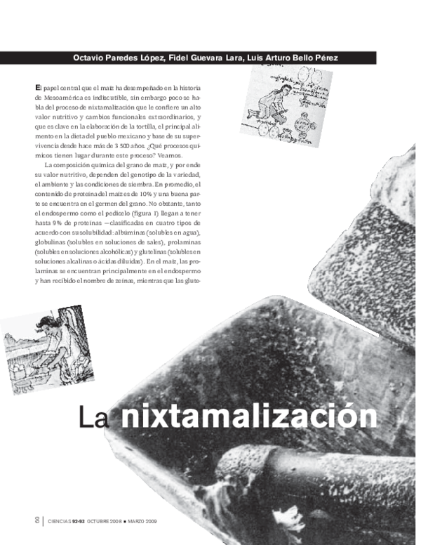 (PDF) Nixtamalizacion