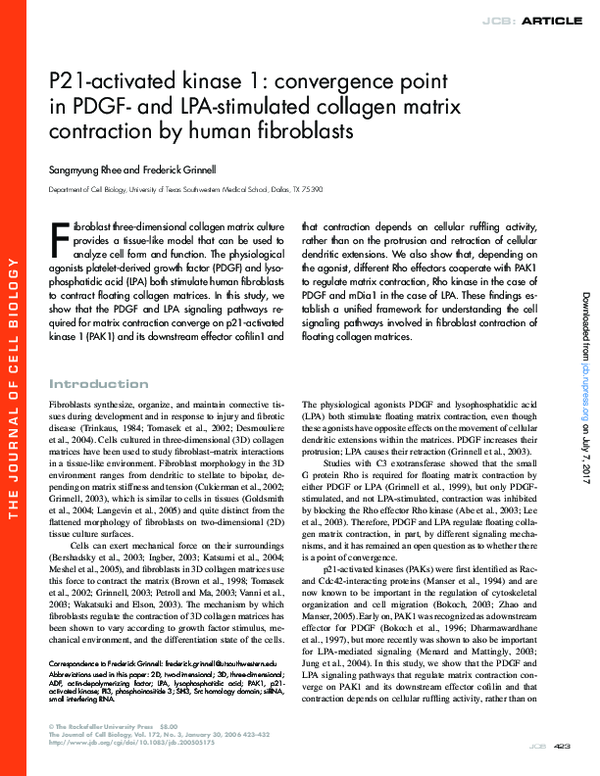 (PDF) PDGF-BB enhances collagen gel contraction through a PI3K-PLCγ-PKC ...