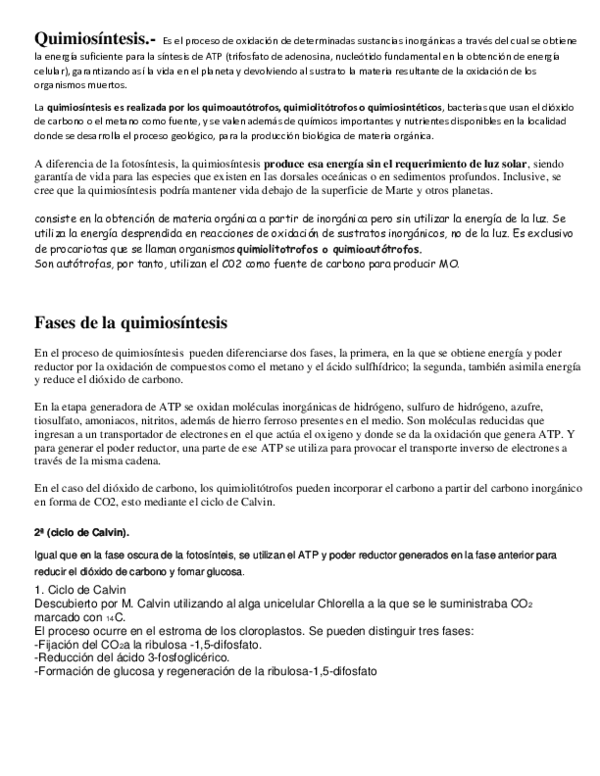 (PDF) Quimiosíntesis resumen