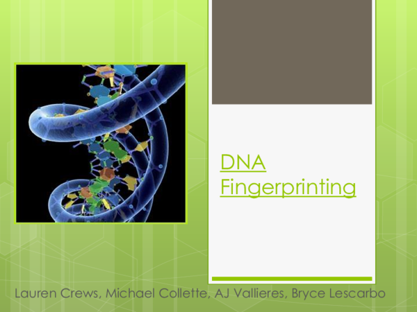 Dna Fingerprinting Ppt