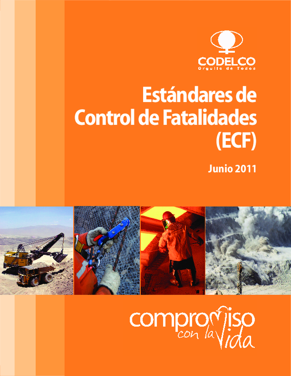 (PDF) Estándares de Control de Fatalidades (ECF