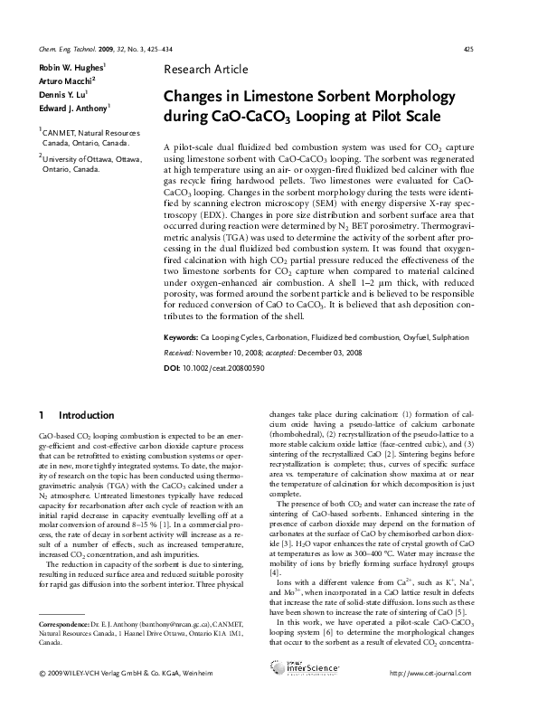 (PDF) Changes in Limestone Sorbent Morphology during CaO-CaCO 3 Looping ...