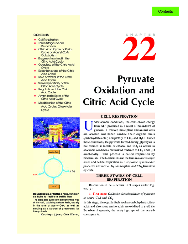 (PDF) Biochemistry Metabolism