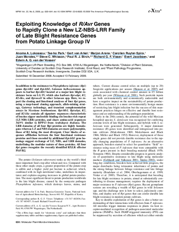 (PDF) Exploiting Knowledge of R/Avr Genes to Rapidly Clone a New LZ-NBS ...