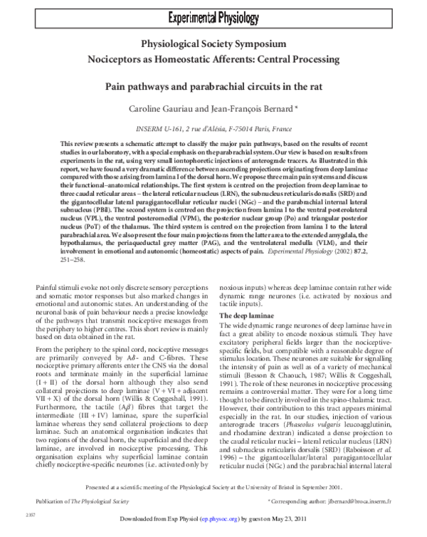 (PDF) Pain pathways and parabrachial circuits in the rat