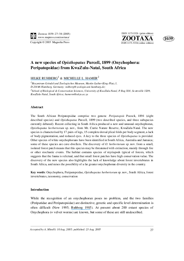 (PDF) A new species of Opisthopatus Purcell, 1899 (Onychophora ...
