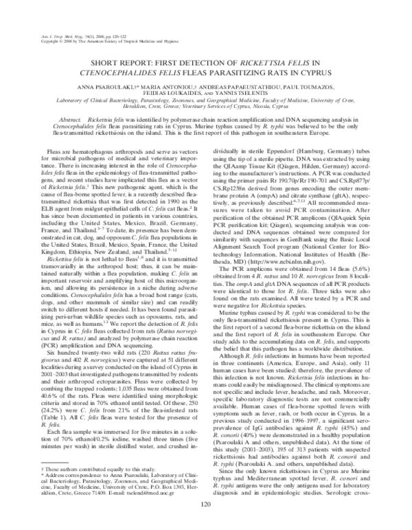 (PDF) Short Report: First Detection of Rickettsia Felis in ...