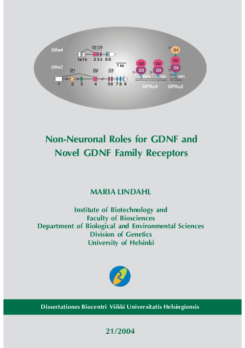 (PDF) Non-neuronal roles for GDNF and novel GDNF family receptors