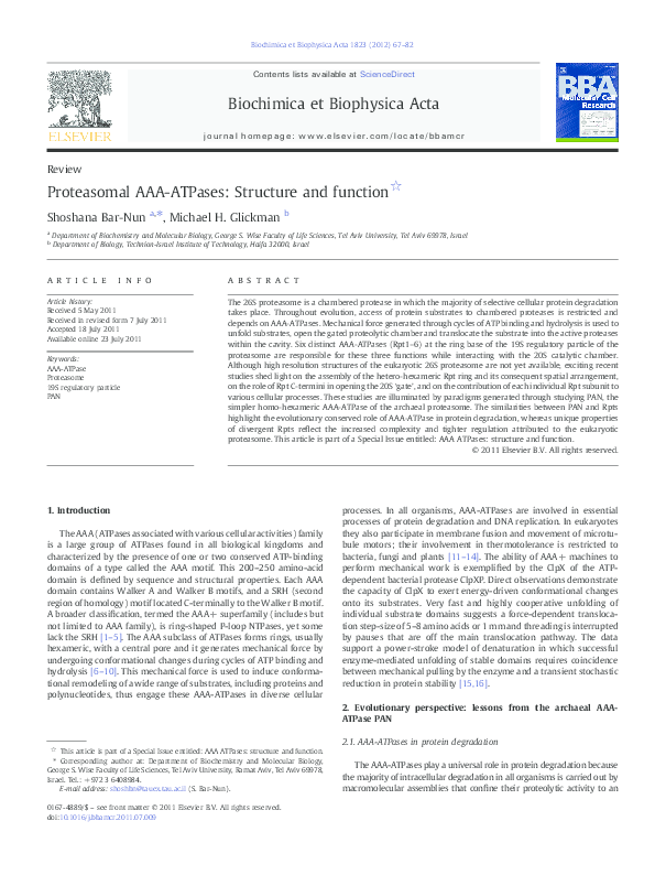 (PDF) Proteasomal AAA-ATPases: Structure and function