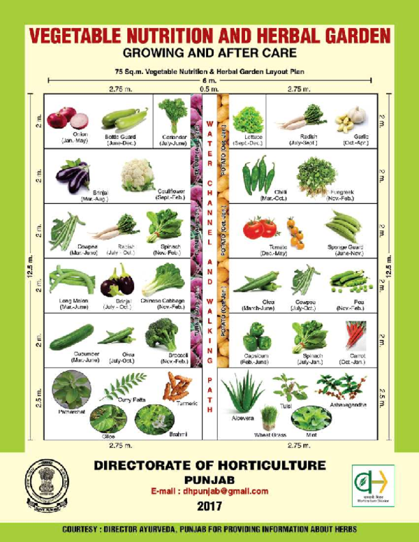 (PDF) Nutrition Garden English (1)