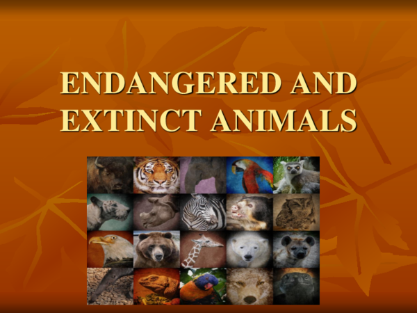 (PPT) ENDANGERED AND EXTINCT ANIMALS