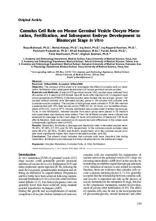 (PDF) Cumulus Cell Role on Mouse Germinal Vesicle Oocyte Matu-ration ...