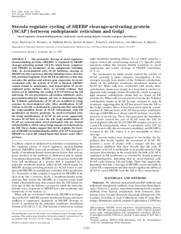 (PDF) Sterols regulate cycling of SREBP cleavage-activating protein (SCAP) between endoplasmic ...