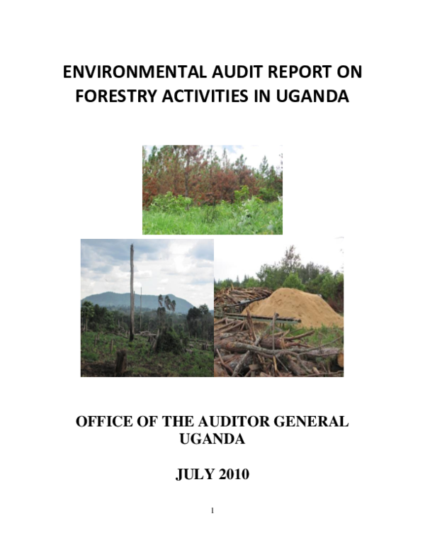 (PDF) ENVIRONMENTAL AUDIT REPORT ON FORESTRY ACTIVITIES IN UGANDA ...