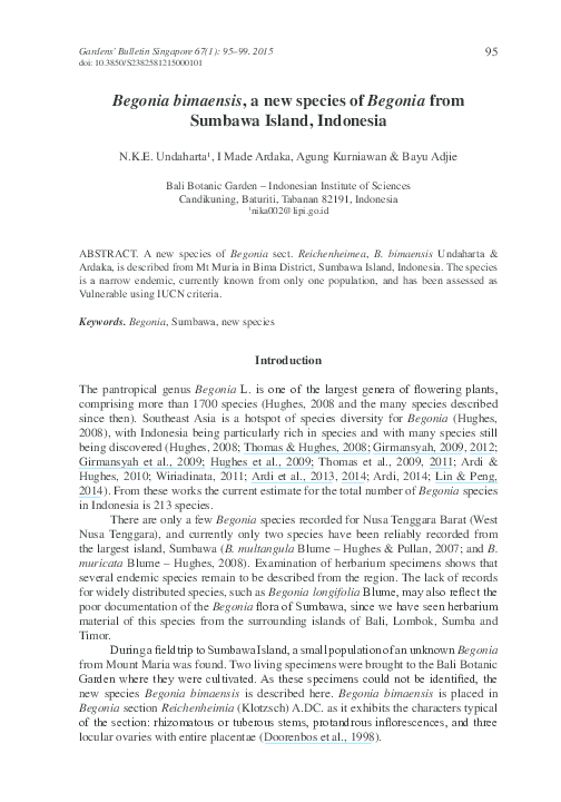 (PDF) Begonia bimaensis, a new species of Begonia from Sumbawa Island ...