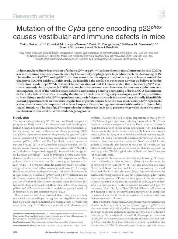 (PDF) Mutation of the Cyba gene encoding p22phox causes vestibular and ...