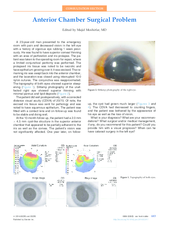 (PDF) Anterior Chamber Surgical Problem