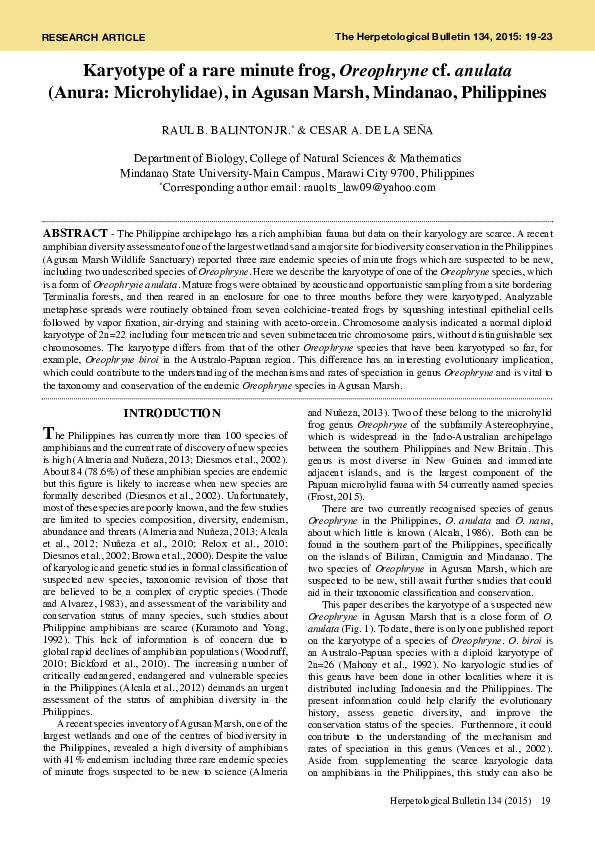 (PDF) Karyotype of a rare minute frog, Oreophryne cf. anulata (Anura ...