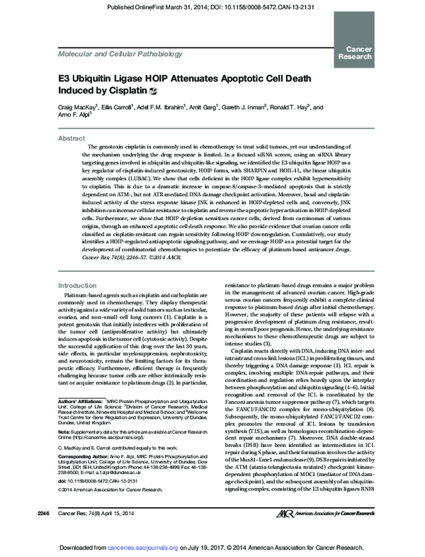 (PDF) E3 Ubiquitin Ligase HOIP Attenuates Apoptotic Cell Death Induced ...