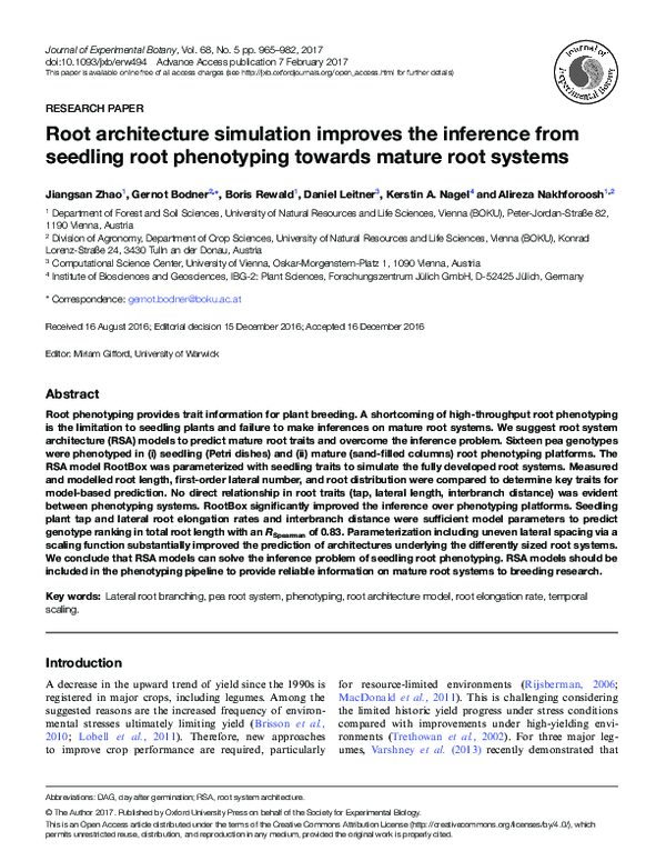 Pdf Root Architecture Simulation Improves The Inference From Seedling Root Phenotyping Towards