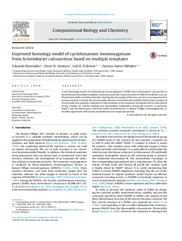 (PDF) Improved homology model of cyclohexanone monooxygenase from ...