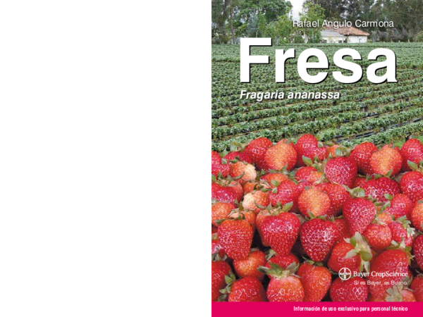 (PDF) Información de uso exclusivo para personal técnico Fresa Fresa ...