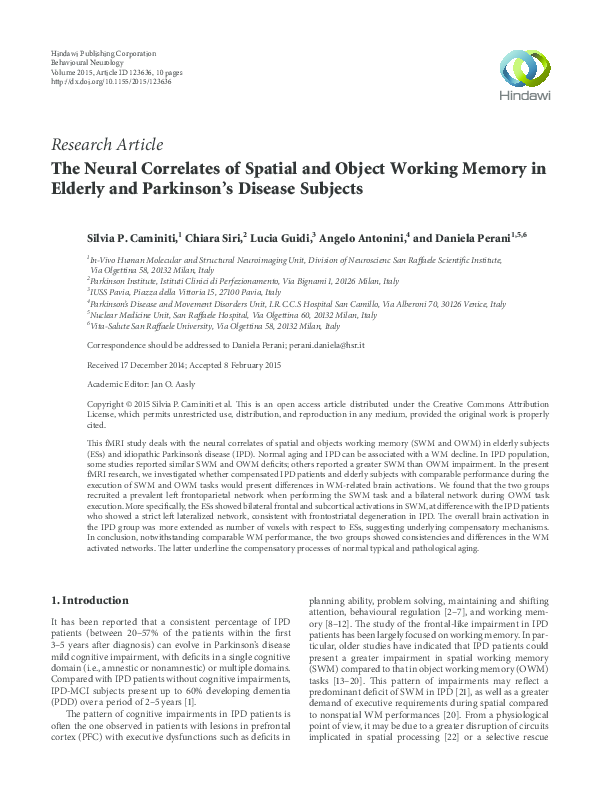 Pdf The Neural Correlates Of Spatial And Object Working Memory In