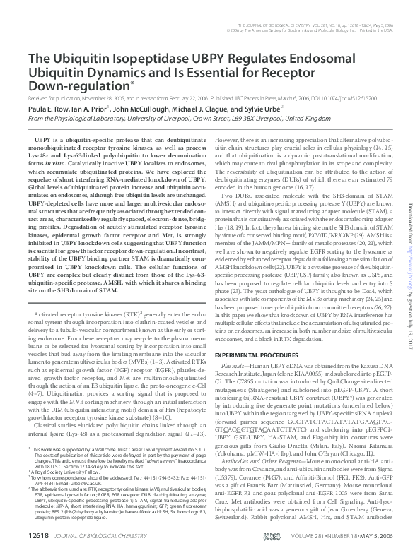 (PDF) The Ubiquitin Isopeptidase UBPY Regulates Endosomal Ubiquitin ...