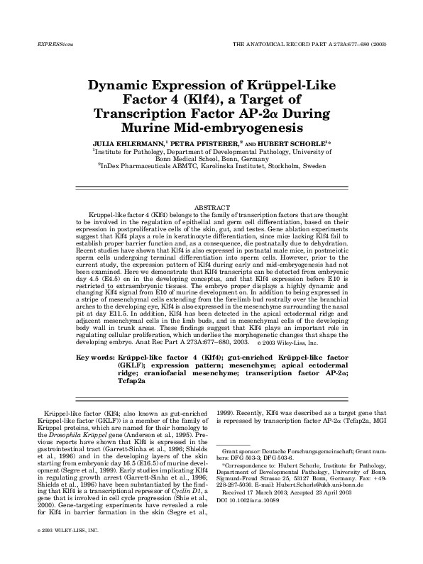 (PDF) Dynamic expression of Kr ppel-like factor 4 (Klf4), a target of transcription factor AP-2 ...