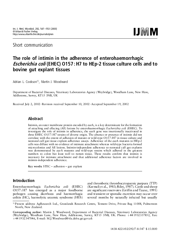 (PDF) The role of intimin in the adherence of enterohaemorrhagic ...
