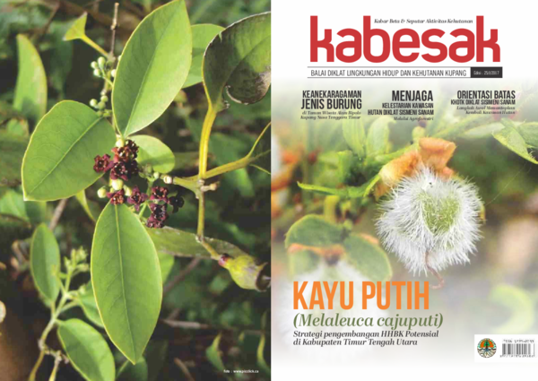 (PDF) PENGELOLAAN WISATA ALAM AIR TERJUN TAPLEL: SEBUAH KONSEP