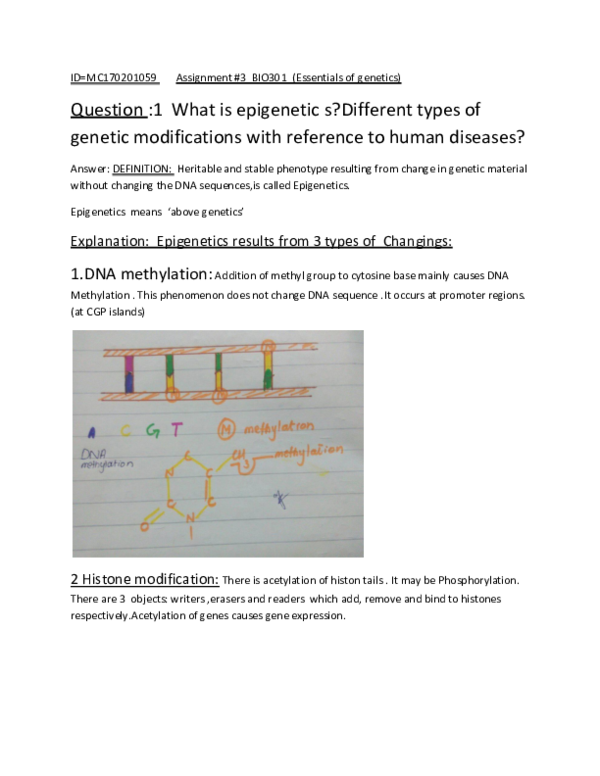 (DOC) Question :1 What is epigenetic s?Different types of genetic ...