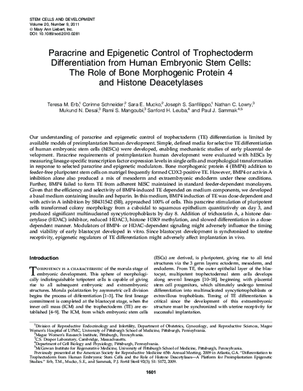 (PDF) Paracrine and Epigenetic Control of Trophectoderm Differentiation ...