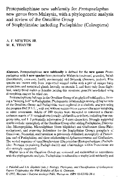 (PDF) Protopselaphinae new subfamily for Protopselaphus new genus from ...