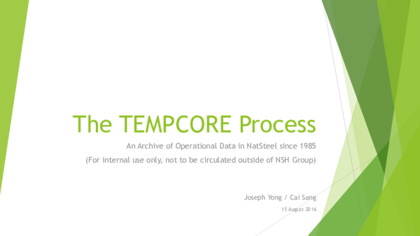 (PDF) The TEMPCORE Process