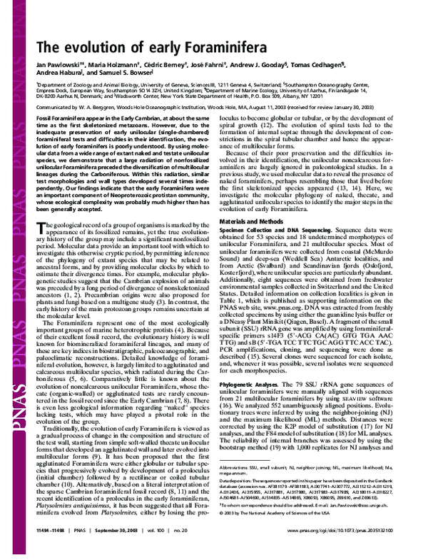 (PDF) Phylogeny of allogromiid Foraminifera inferred from SSU rRNA gene ...