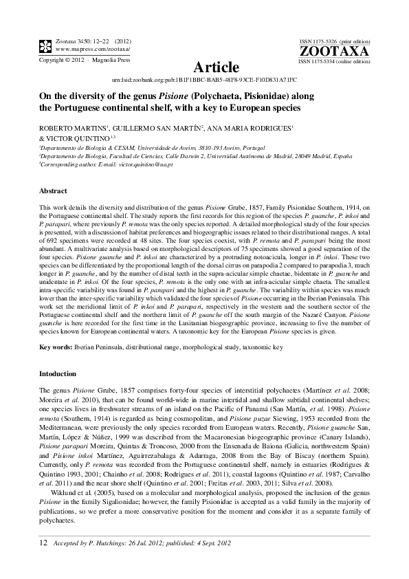 (PDF) On the diversity of the genus Pisione (Polychaeta, Pisionidae ...
