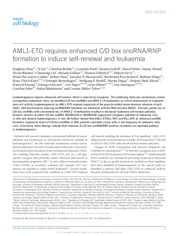 (PDF) AML1-ETO requires enhanced C/D box snoRNA/RNP formation to induce ...