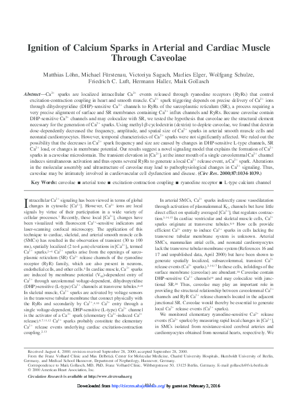 Ignition of Calcium Sparks in Arterial and Cardiac Muscle Through Caveolae