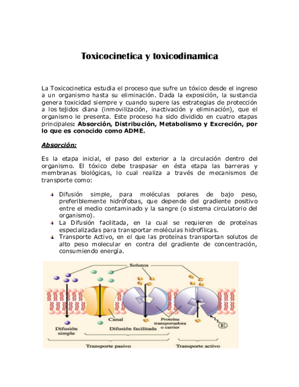(DOC) Toxicocinetica y toxicodinamica