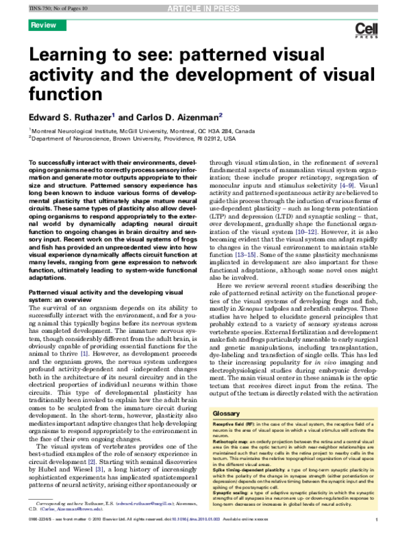 (PDF) Learning to see: patterned visual activity and the development of ...
