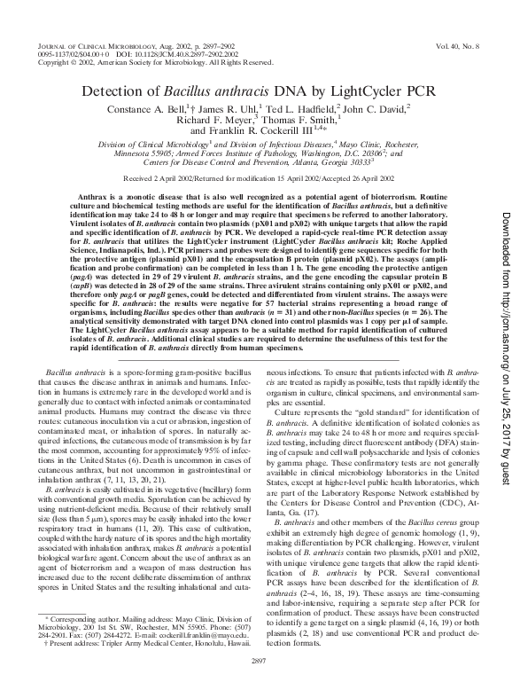 Pdf Detection Of Bacillus Anthracis Dna By Lightcycler Pcr