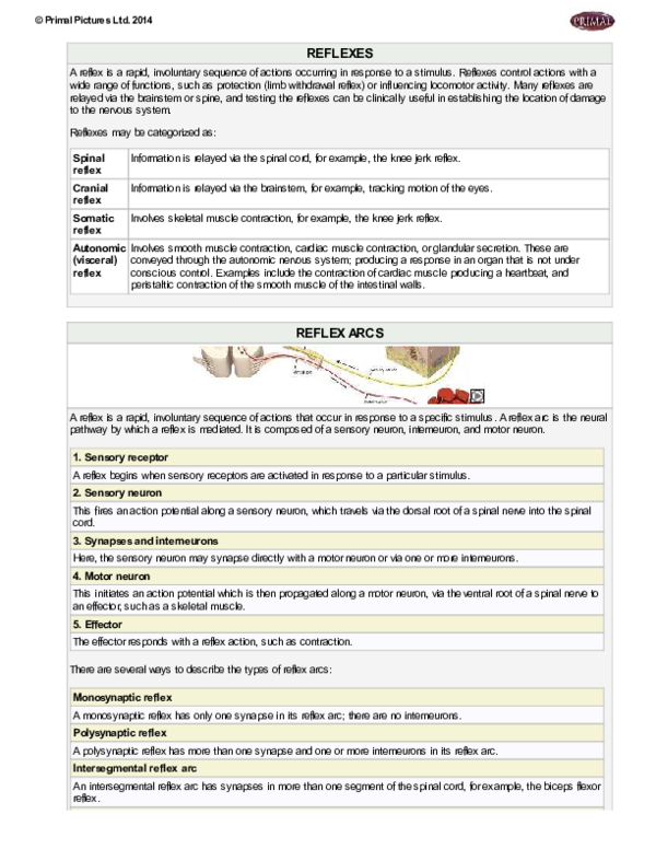(PDF) 12 Reflexes | hemanthkumar ramachandran - Academia.edu