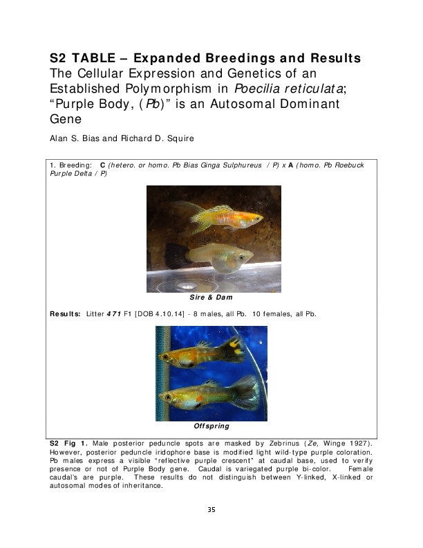 (PDF) S2 TABLE – Expanded Breedings and Results The Cellular Expression ...